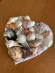 7 Seashell Activities for Kids – Kindred Inspiration