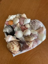 7 Seashell Activities for Kids – Kindred Inspiration
