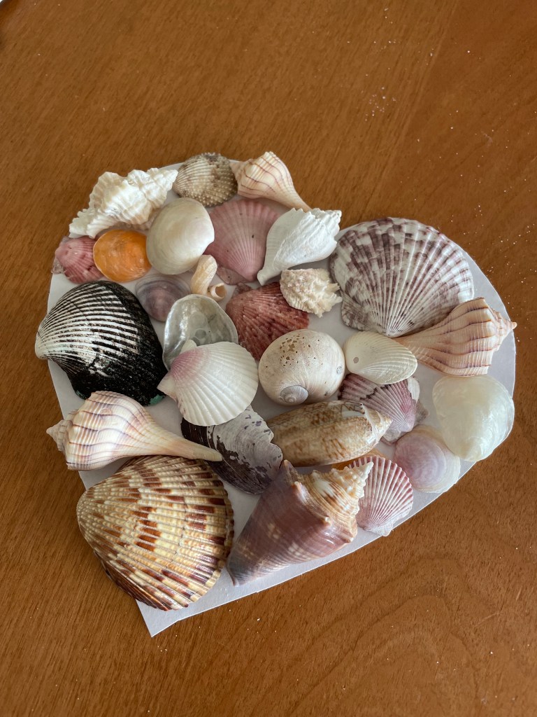 7 Seashell Activities for Kids – Kindred Inspiration