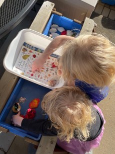 7 Seashell Activities for Kids – Kindred Inspiration