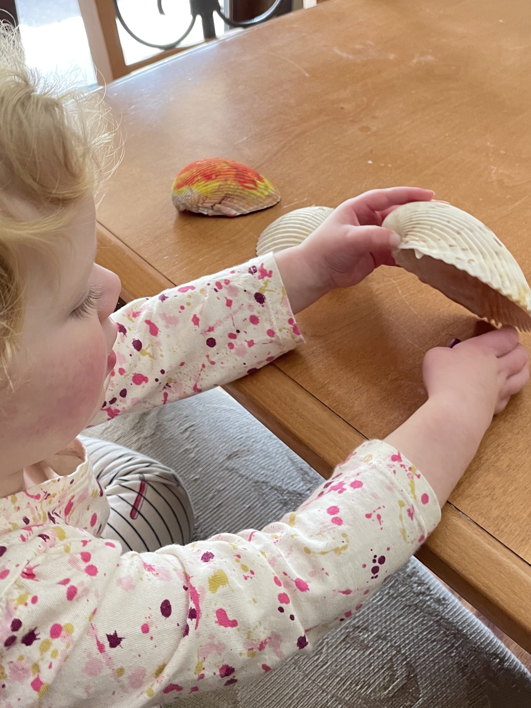 7 Seashell Activities for Kids – Kindred Inspiration